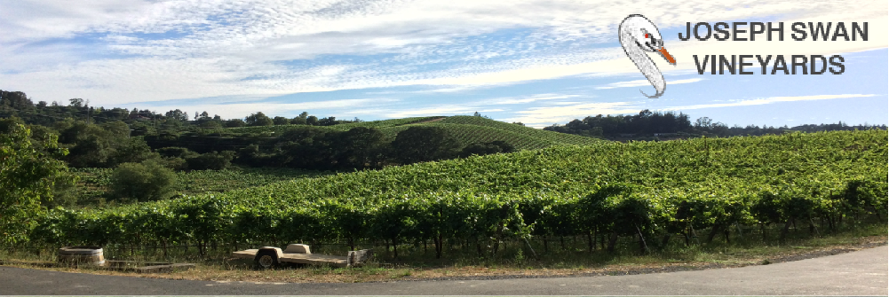 UWINE 유와인(주):와이너리